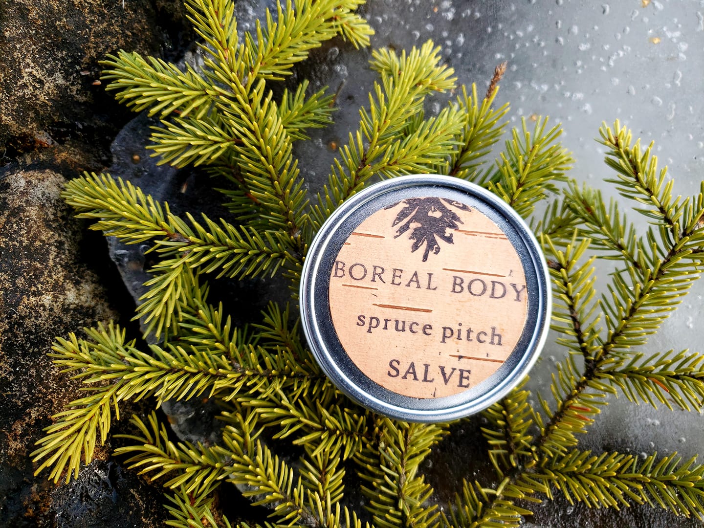 Spruce Pitch Salve – Boreal Body
